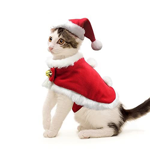 Get Your Paws on These Festive Finds: The Top 10 Christmas Cat Overalls ...