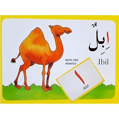 Arabic Alphabet Flash Cards (English and Arabic Philippines | Ubuy