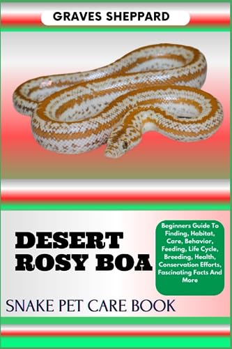 All About Desert Lizards: Adaptations, Diet, Habitat, And Conservation ...