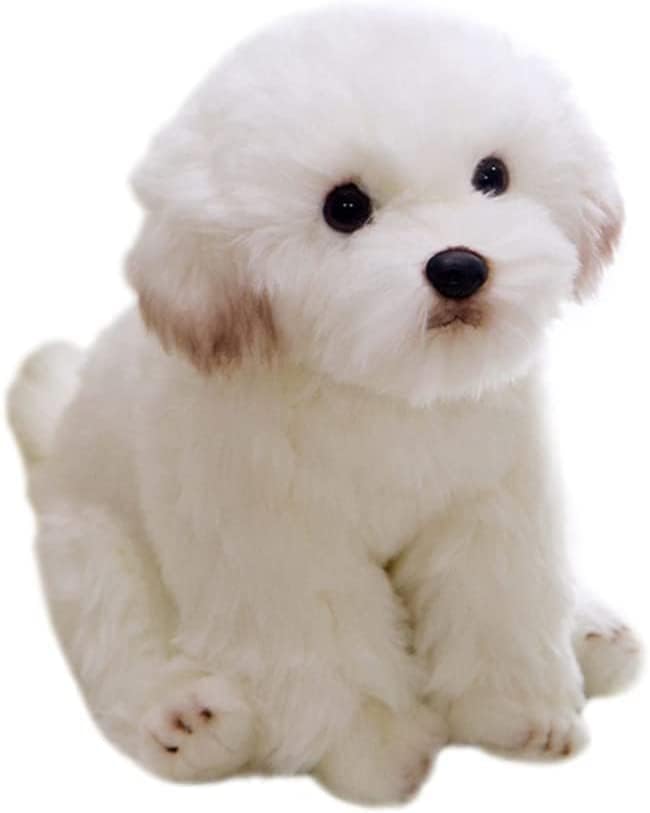 Amazon.com: Mifebshe Realistic Plush Maltese Dog, Bichon Frise Puppy ...