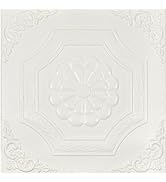 Amazon.com: Ceiling Tiles Peel and Stick Waterproof 3D Foam Self ...