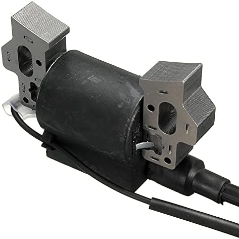 Amazon.com: 168F 170F Ignition Coil Magneto Generator 2KW 3KW GX160 ...