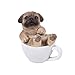 Amazon.com: Pacific Giftware Pug Puppy Adorable Mini Teacup Pet Pals ...