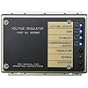 Amazon.com: Generac - ASSY VOLTAGE REGULATOR 60HZ - 0676800SRV : Automotive