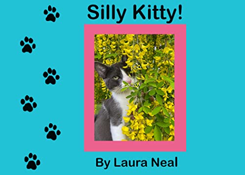 Silly Kitty! eBook : Neal, Laura: Amazon.in: Kindle Store