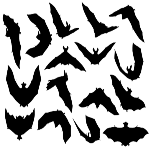 Bats Sounds - App on Amazon Appstore