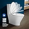 HIGHCRAFT Premium Elongated Toilet Seat with Slow-Close Design ...
