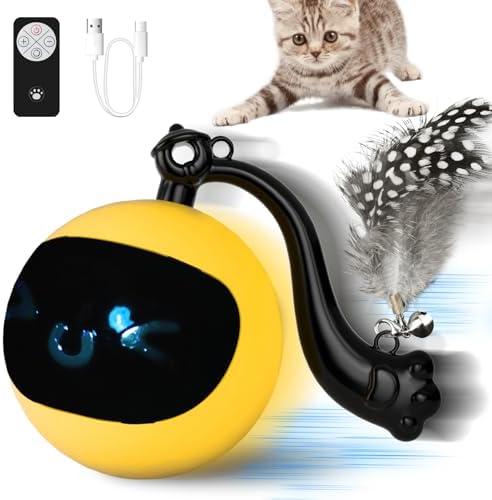 Amazon.com : PKNOVEL Interactive Cat Ball Toy, APP Control Automatic ...