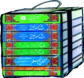 Amazon.com: Islamic Library Urdu: ISLAMIC LIBRARY: Books