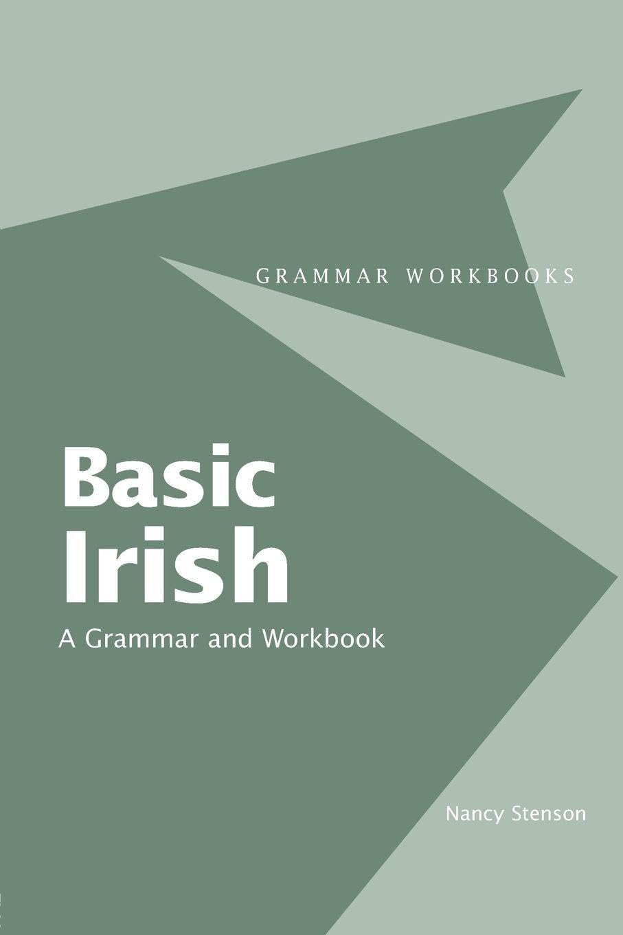 Basic Irish: A Grammar and Workbook (Routledge Grammar Workbooks ...