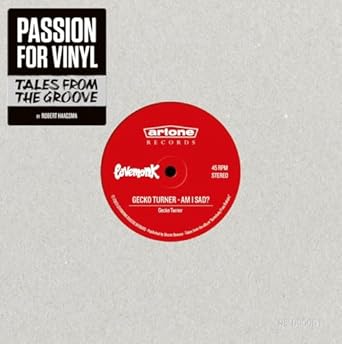Passion For Vinyl: Tales from the groove: Amazon.co.uk: Haagsma, Robert ...