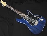 ・ブランド:SCHECTER・製造元:Schecter・●BODY：Mahogany・●FINGER BOARD:Rose Wood
