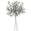 Amazon.com: SHACOS 3 PCS 39" Fake Olive Tree Branches Olive Stems Large ...