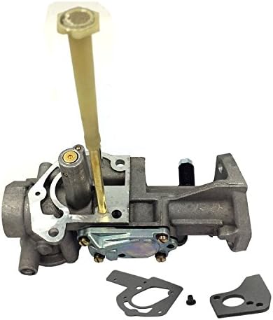 Carkio Carburateur 5 ch avec Joints Compatible with Moteurs Briggs ...
