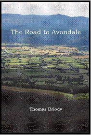 The Road to Avondale: Vol. 1: Thomas Briody: 9781907107252: Amazon.com ...