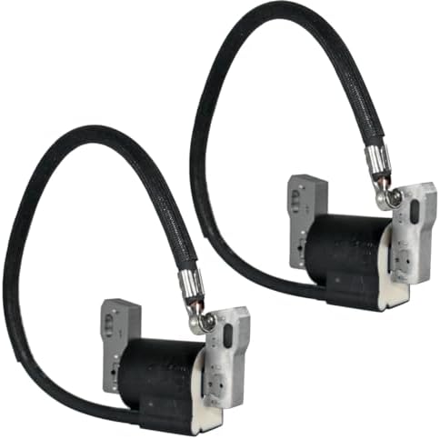 Amazon.com: XingLi 2Pcs 499447 Ignition Coils fit for 592846 691060 ...