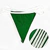 Amazon.com: 32Ft Green and White Banner Party Decorations Triangle Flag ...