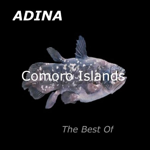 Amazon.com: Comoro islands (The best of) : Adina: Digital Music