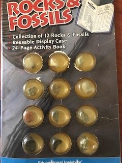 Rocks & Fossils: Kathleen Knoblock: 9781567670196: Amazon.com: Books