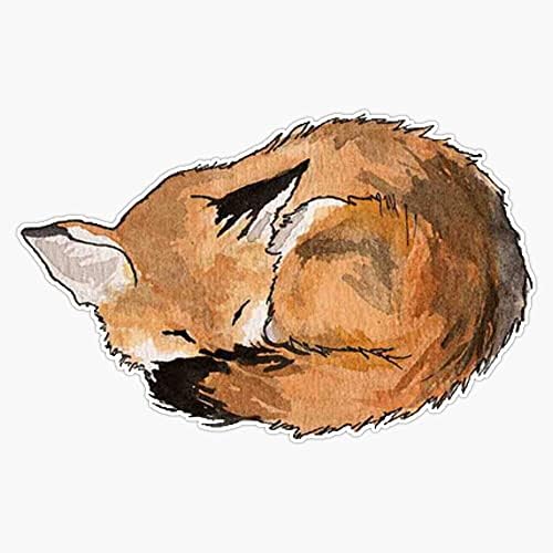 Amazon.com: Fox Vinyl Waterproof Sticker Decal Car Laptop Wall Window ...