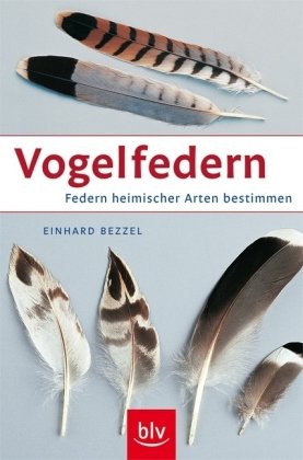 Arten Von Vogelfedern Das Gefieder | Biologie | SchuBu