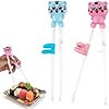 Amazon.com: 2 Pairs Cute Animal Training Chopsticks for Beginners and ...