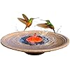 Amazon.com: Quackups Solar Bubbler Fountain for Hummingbirds, Small ...