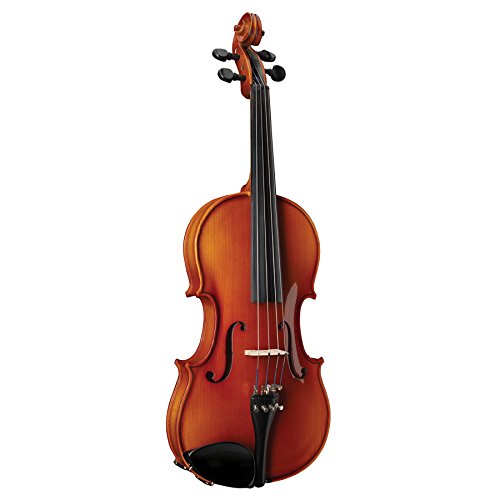 Becker 2000 Viola 12-Inch, Red-Gold Gloss Finish : Amazon.in: Musical ...