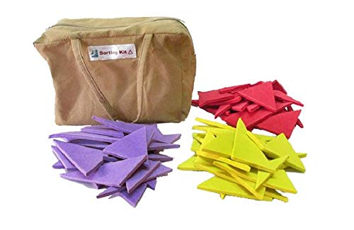 Triangle Sorting Kit : Amazon.in: Toys & Games