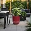 Amazon.com : SUNPOTFOR Ceramic Pots for Plants - 12 Inch Plant Pot ...