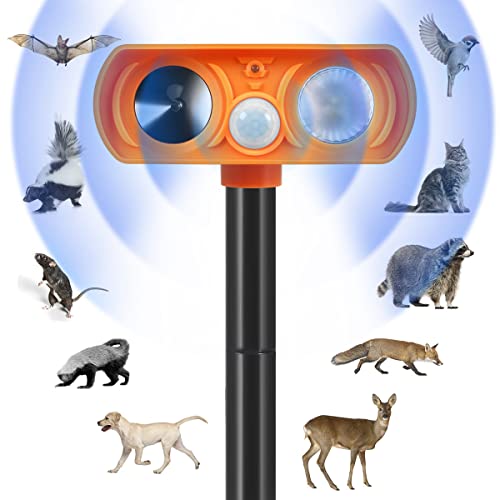 How to Keep Birds off the Porch (10 Tips) | The Backyard Baron