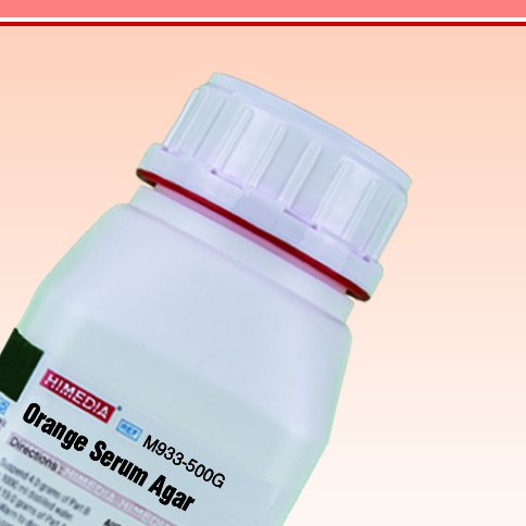 Amazon.com: HiMedia M933-500G Orange Serum Agar, 500 g : Industrial ...