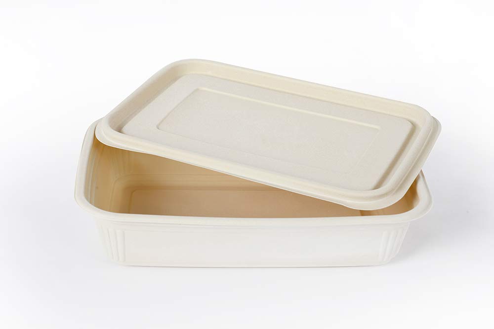 Buy Biodegradable, Non-Toxic, Plastic-Free Disposable Food Lunch Box ...