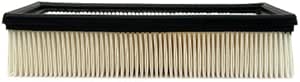 Amazon.com: Champ Labs AF355 Air Filter : Automotive