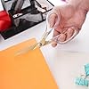 Amazon.com: SCAIKTIG Acrylic Scissors Set, Office Scissors for Desk ...