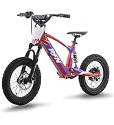 Amazon.com: RFN SX-E500 36V Electric-Dirt-Bike, MAX 700W Electric ...