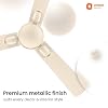 Buy Orient Electric Blanco 1200 mm Ceiling Fan | 100% Copper Motor ...