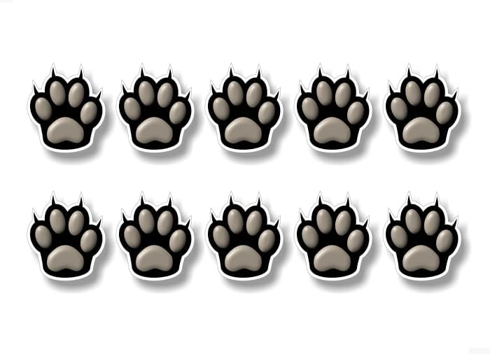 Amazon.com: 10 CAT PAW Prints 2'' Decal Set Cats Kitten Kitty Foot Paws ...