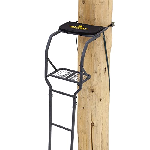Best Giant Tree Platform for playground, 700lb Weight Capacity
