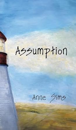 Assumption: Sims, Anne: 9780228874164: Books - Amazon.ca