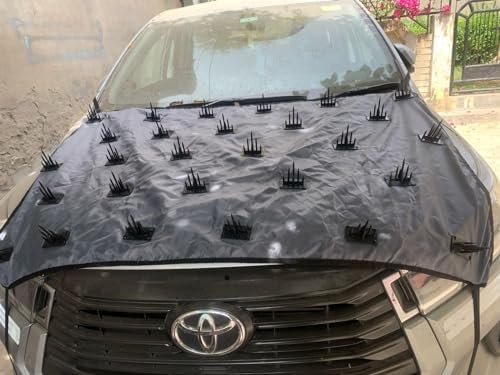 Car Bonnet Cover for Protection from Dogs Pets, Dust and UV Rays (60 ...