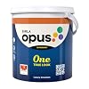 Birla Opus One True Look Paint: Transform Your Home with Superior ...