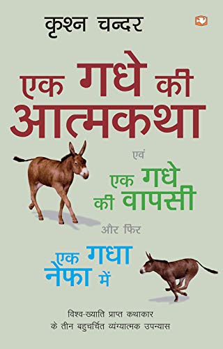 EK GADHE KI AATMKATHA (Hindi Edition) eBook : CHANDER, KRISHN: Amazon ...
