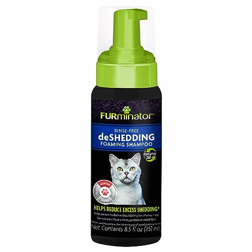 10 Best Cat Shedding Solution [2025]