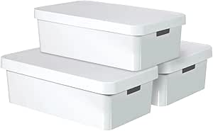 Amazon.com: Curver Set of 3 Infinity Box with Lid 30 L White : Home ...