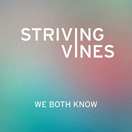 Play We Both Know by Striving Vines on Amazon Music