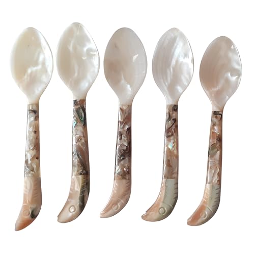 Amazon.com: Mother of Pearl Spoons Set | Handcrafted Exquisite Round ...