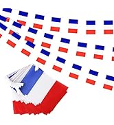 Amazon.com : GSYLPFT American Flags USA String Flag Banners for ...