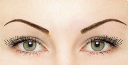 Amazon.com : Chestnut Brown 100% Human Hair Natural False Eye Brow ...