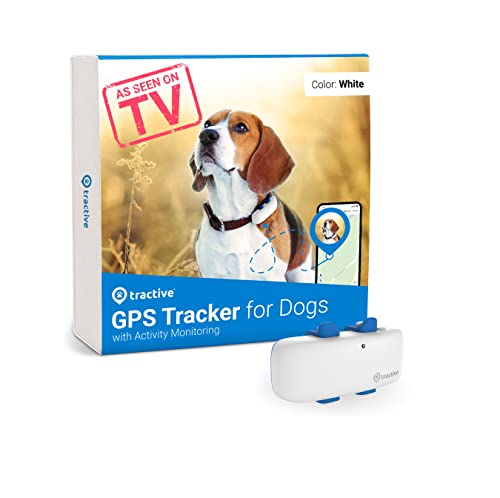 The best GPS dog tracking system on the market - Easy Spaniel Training